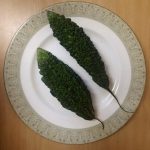 Vegetables – Foods of Nepal